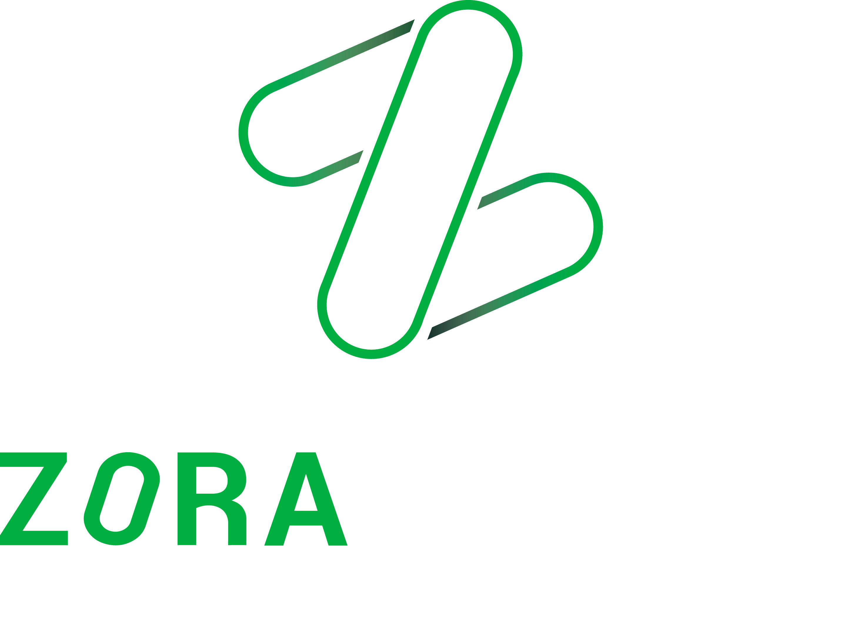 ZORA Systems